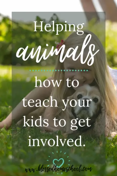 Volunteering With Animals - Fun Ways Kids Can Get Involved