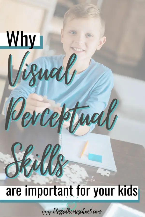 Why Visual Perceptual Skills are Important for Your Kids