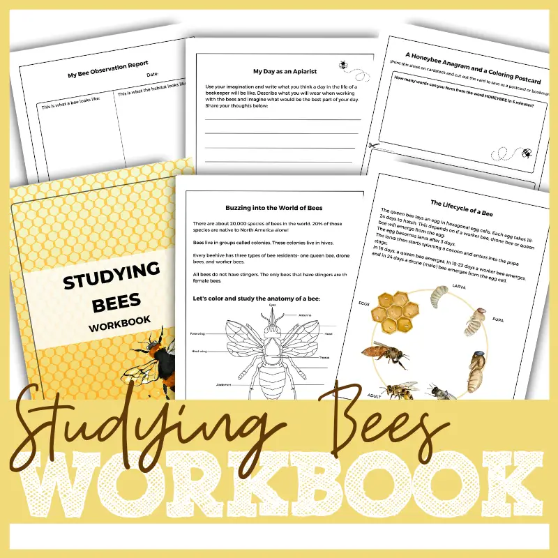 Studying Bees Printable Workbook - Blessed Homeschool