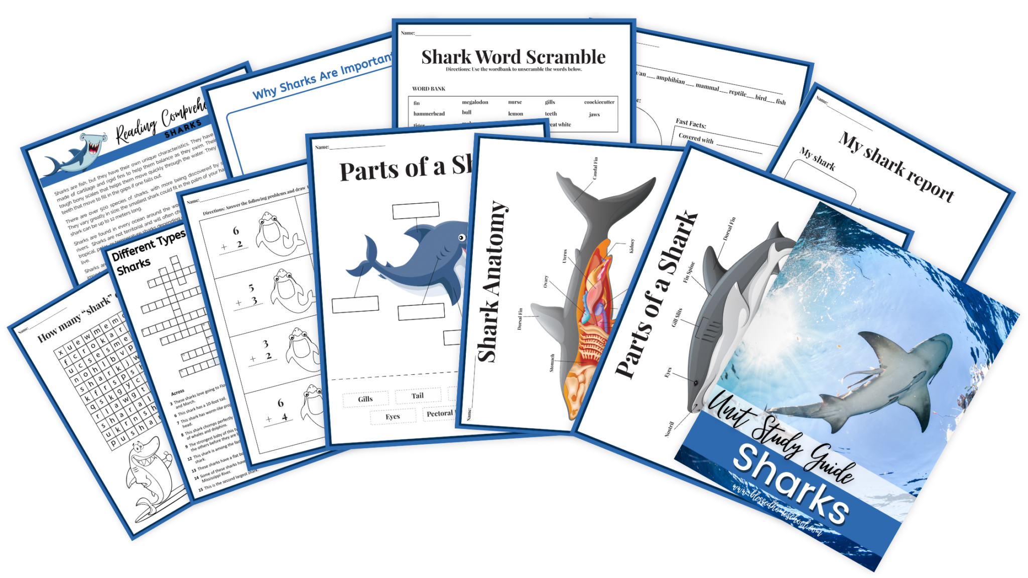 Shark Unit Study for Homeschoolers {with FREE Shark Research Guide ...