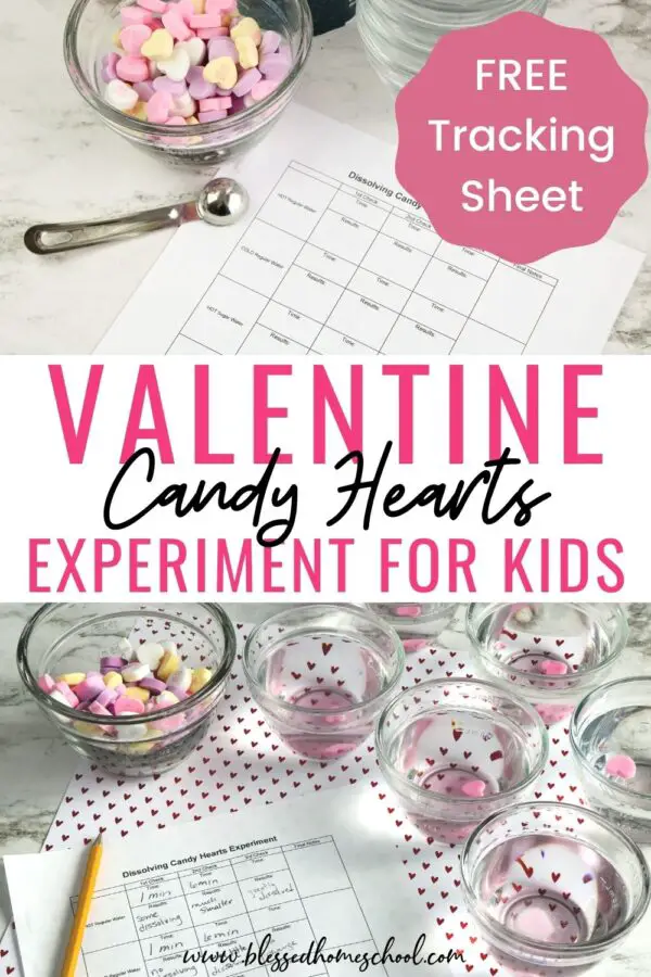 Easy Valentine's Day Dissolving Candy Hearts Experiment