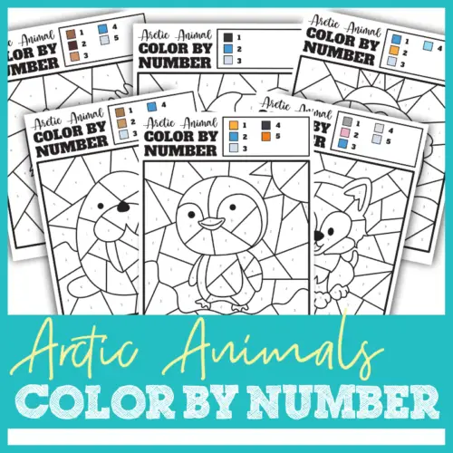 Arctic Animals Color by Number: FREE Printables