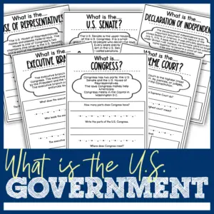 What is the U.S. Government? {Printable Worksheets}