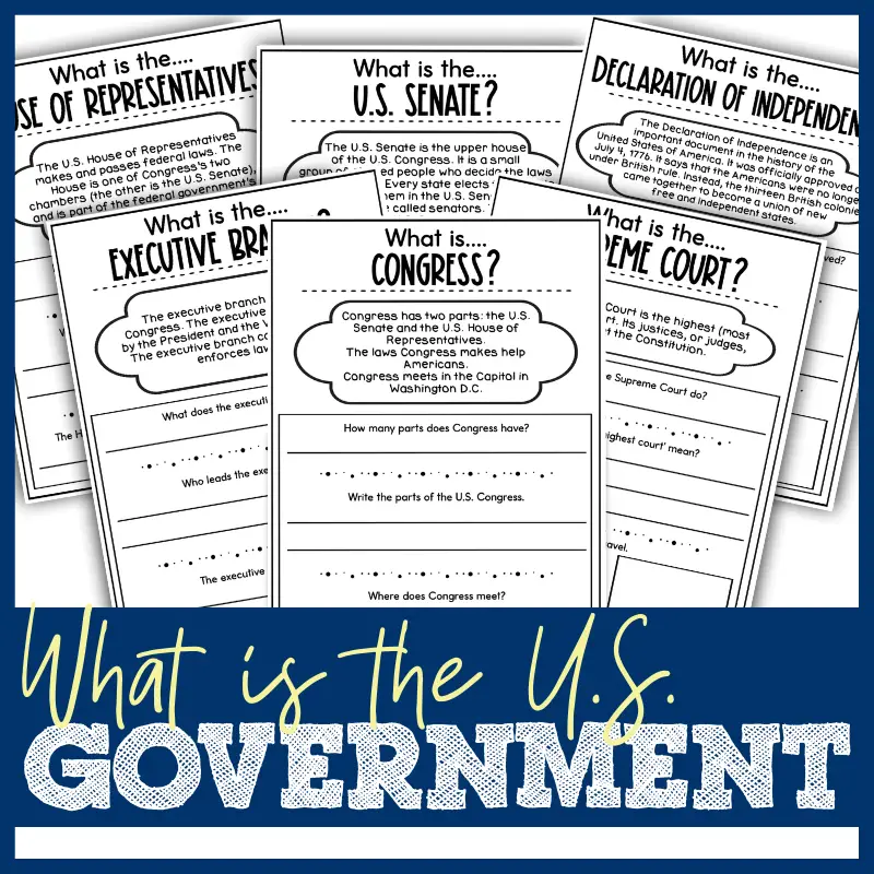 What is the U.S. Government? {Printable Worksheets}
