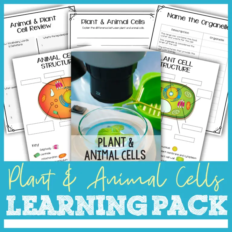 Plant and Animal Cells Learning Pack - Blessed Homeschool
