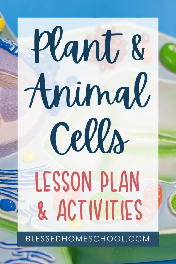 Facts About Plant and Animal Cells {+ a FREE Printable}