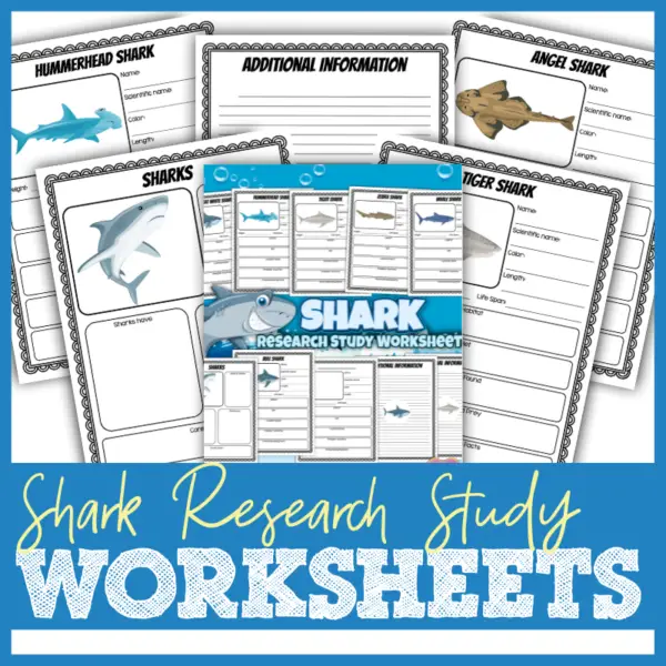 Sharks Research Worksheets - Shark Lessons for Homeschool