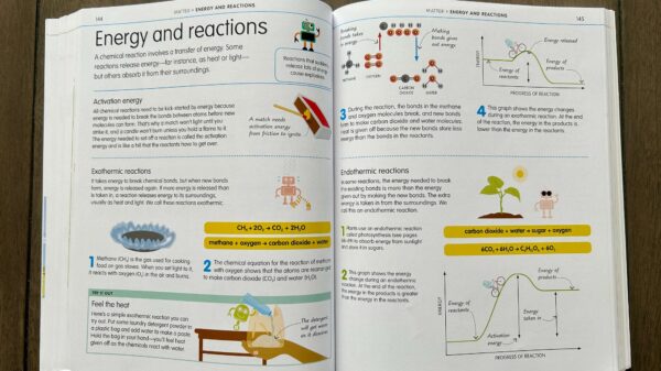 Sonlight Science: Is It for You? A Detailed Review